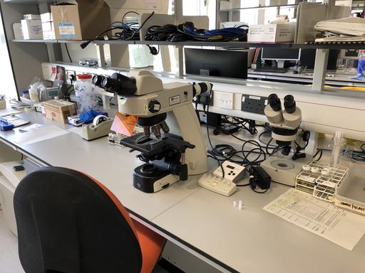 CL2 & CL3 Laboratories | Oxford University Hospitals NHS Foundation ...